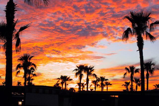 RV Park Mesa Arizona for 55+ active seniors | Sun Life