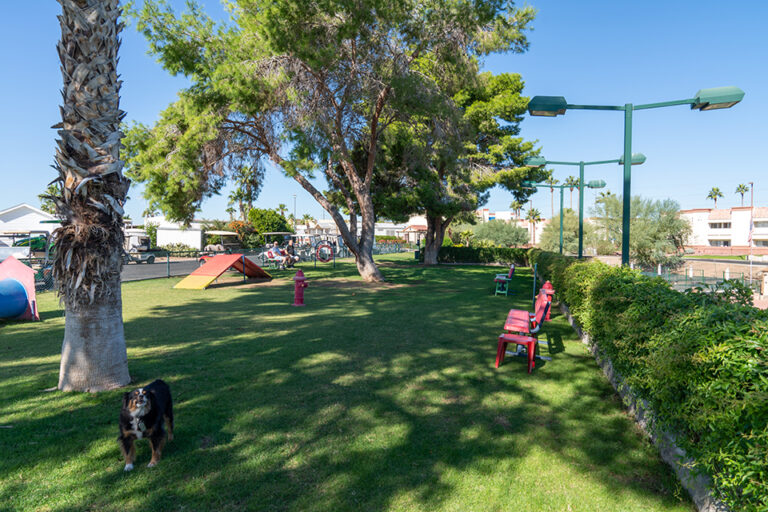 Surprise Arizona - RV Park & Resort for active seniors | Sunflower