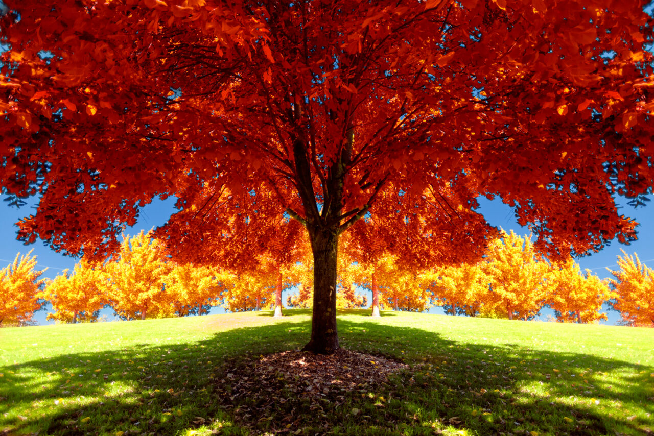 Oregon Mobile Home Parks. Manufactured homes for sale- Oregon